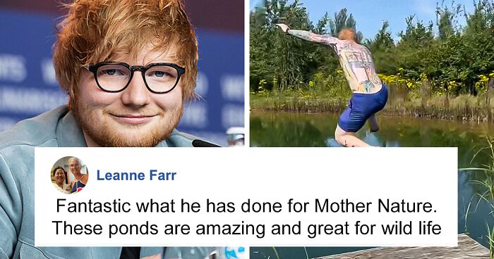 Neighborhood “Completely Ruined” By Ed Sheeran’s Wildlife Pond Used As ...