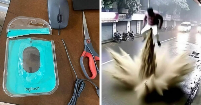 50 Random, Funny, And Unhinged Images That Show Off The Bizarre Side Of ...