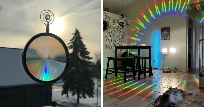 18 Ways To Inject Some Serious Fun Into Your Boring Day, Making You ...