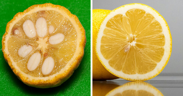 Here Are 14 Photos Of Fruits And Veggies Before And After Humans ...