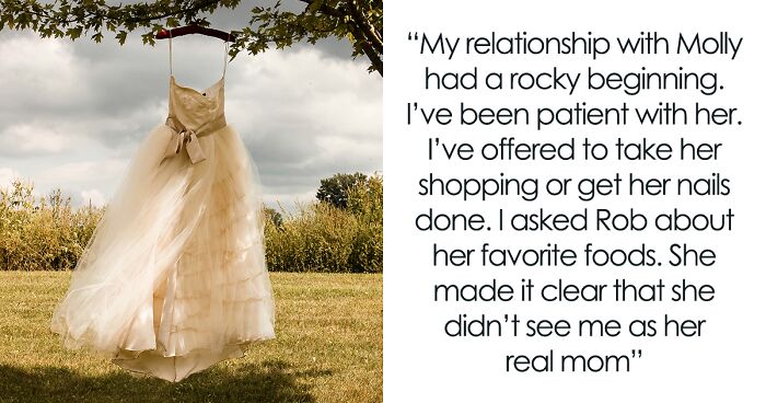 Stepdaughter Insults Woman’s Wedding Dress, Creates Drama After She ...