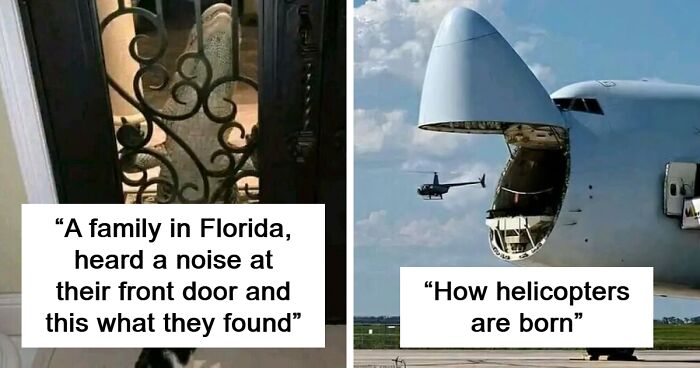 “See The Unseen”: 50 Weird And Wonderful Things Shared By This Online ...