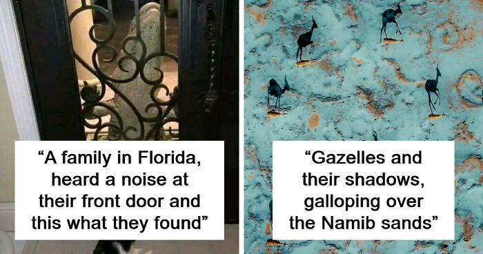 “See The Unseen”: 50 Weird And Wonderful Things Shared By This Online ...