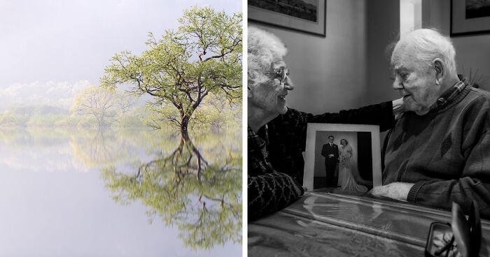 20 Exceptional Photographs Crowned Winners At Tokyo International Foto ...