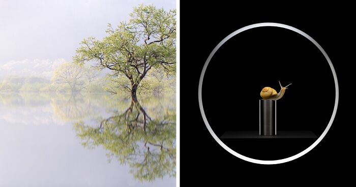 20 Exceptional Photographs Crowned Winners At Tokyo International Foto ...