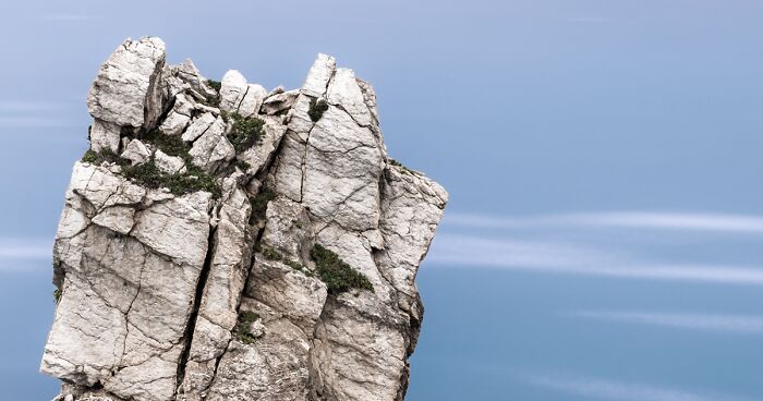 20 Exceptional Photographs Crowned Winners At Tokyo International Foto ...