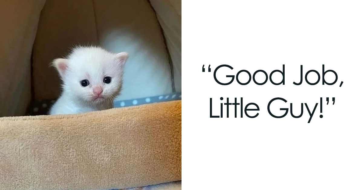 30 Motivational Memes To Power You Through Anything | Bored Panda