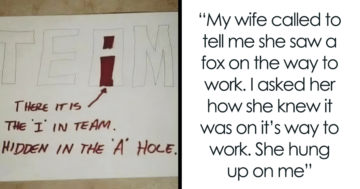 50 Funny “Unappreciated Puns” That Are So Bad, They Are Good (New Pics ...