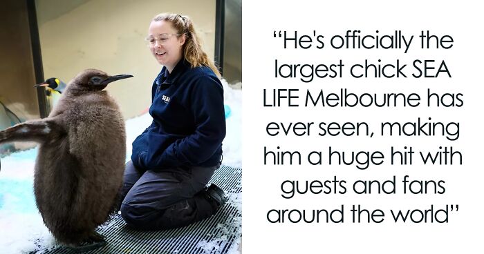 Meet 9-Month-Old Pesto, Who’s The Besto, Weighing In At A Whopping 22 Kg