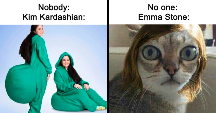 50 Hilariously Accurate Celebrity Memes