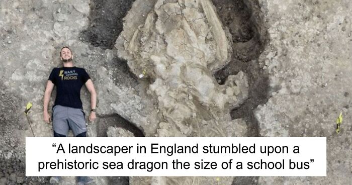 ‘All That’s Interesting’: 45 Cool Facts To Spark Your Curiosity | Bored ...