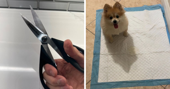 These 13 Dads Have Cracked The Parenting Code And They Want To Help You