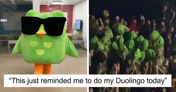 “Marketing Team Deserves A Raise”: Duolingo Attends Charli XCX And ...