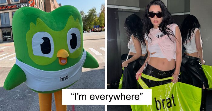 “Marketing Team Deserves A Raise”: Duolingo Attends Charli XCX And ...