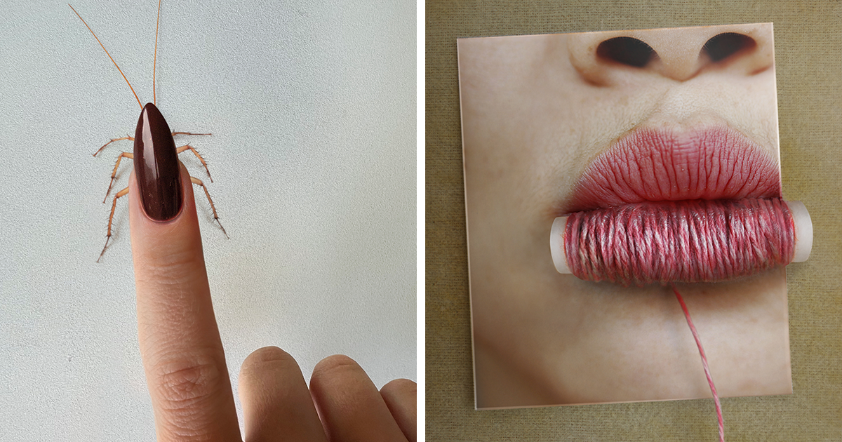 My 33 Creative Combinations Of Two Unrelated Objects (New Pics) | Bored ...