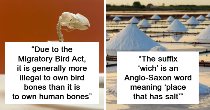 30 Fun Ice Breaker Facts People Use For A Lasting Impression
