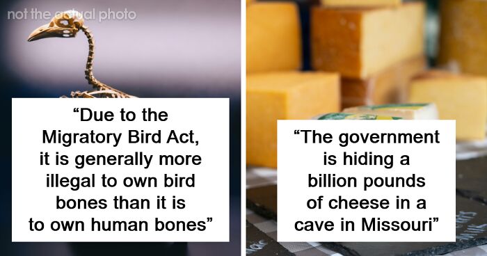 30 Fun Ice Breaker Facts People Use For A Lasting Impression