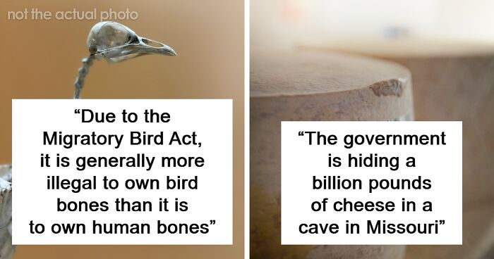 30 Fun Ice Breaker Facts People Use For A Lasting Impression