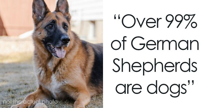 30 Fun Ice Breaker Facts People Use For A Lasting Impression