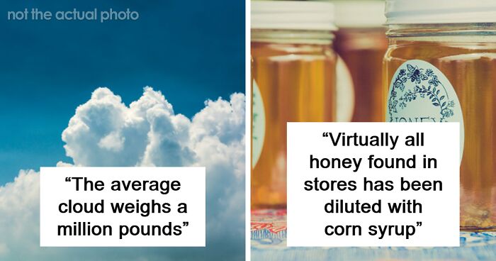 30 Fun Ice Breaker Facts People Use For A Lasting Impression