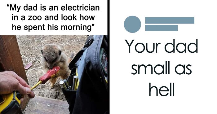 50 Funny And Awkward Animal Posts That Might Make Your Day Much Better
