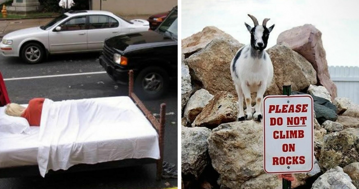 50 Of The Most Cursed Images For People Who Have A Higher Tolerance For ...