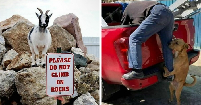 50 Of The Most Cursed Images For People Who Have A Higher Tolerance For ...