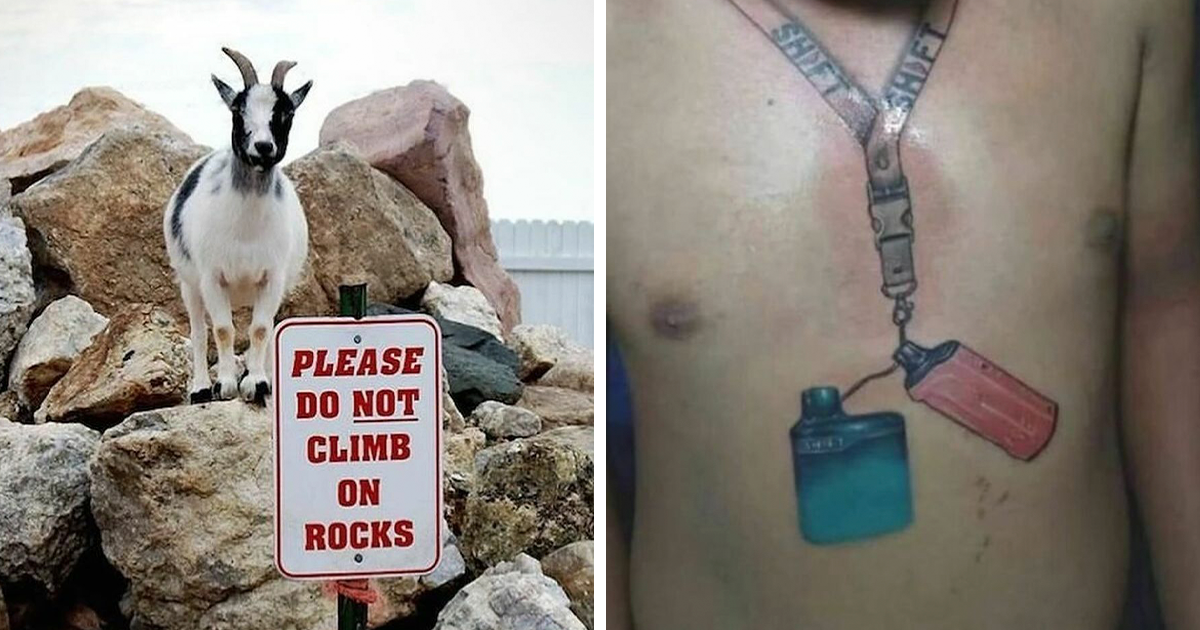 50 Of The Most Cursed Images For People Who Have A Higher Tolerance For ...