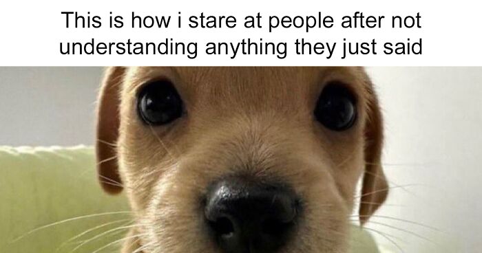 For Anyone Who Needs A Laugh, These 30 Memes About Life’s Ups And Downs ...