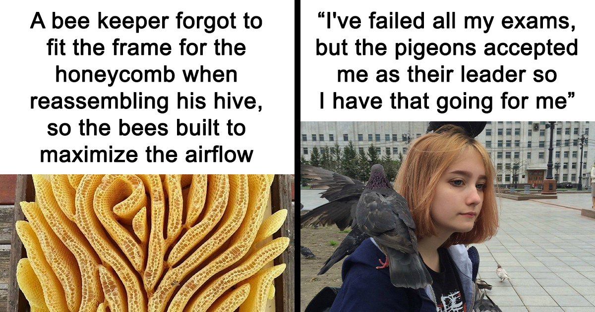 Humorous Memes For When You Need A Short Break From This Thing Called ...