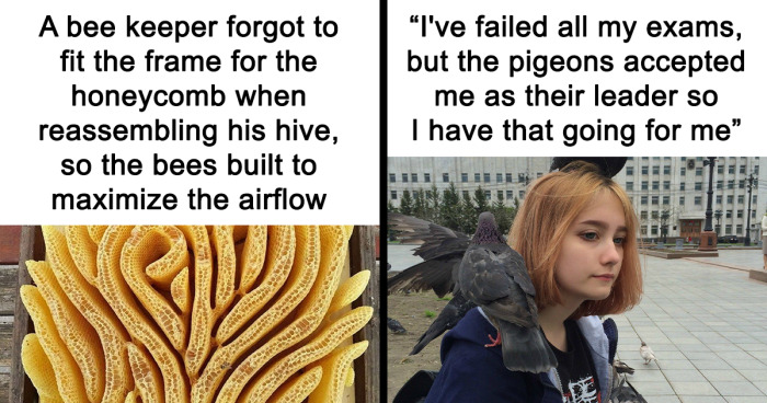 Humorous Memes For When You Need A Short Break From This Thing Called ...