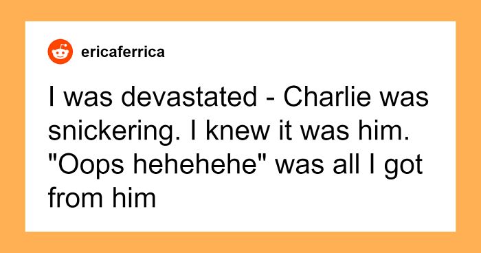 Bully Gets Suspended For A Week After His Victim Decides It’s Time For ...