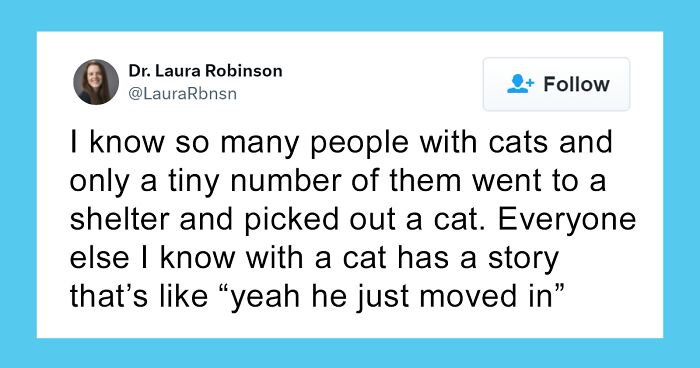 This FB Page Is Home To Hilarious Cat-Centered Memes, And Here Are 50 ...