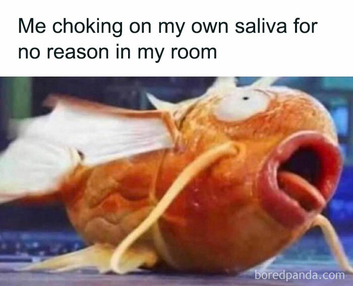 50 Hilarious Random Memes To Brighten Up Your Day New 50 Hilarious Random Memes To Brighten Up Your Day New