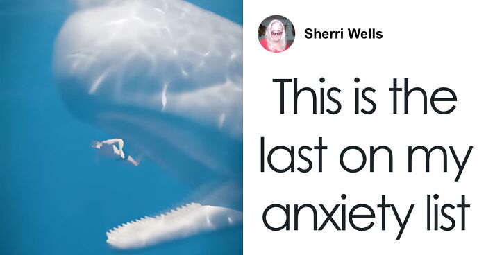 Terrifying Simulation Reveals What Would Happen To Your Body If ...