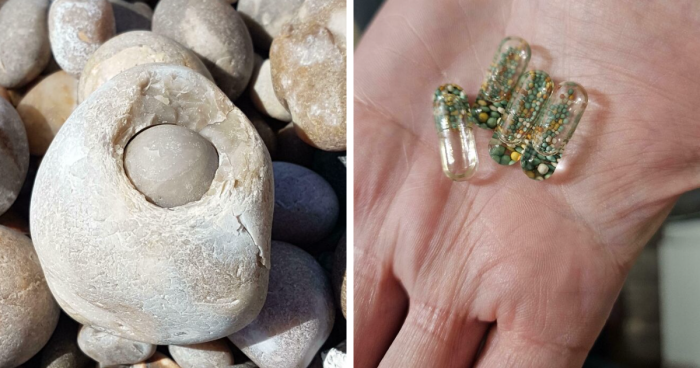 50 Times People Opened Up Things And Just Had To Share What They Found ...