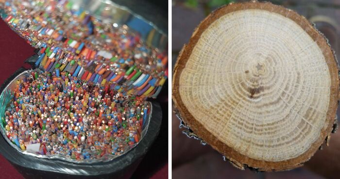 50 Times People Opened Up Things And Just Had To Share What They Found ...