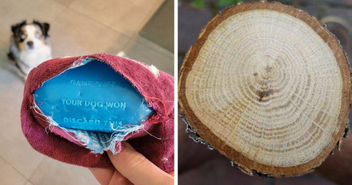 50 Times People Opened Up Things And Just Had To Share What They Found ...