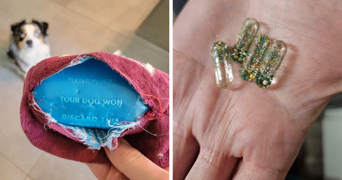 50 Times People Opened Up Things And Just Had To Share What They Found ...