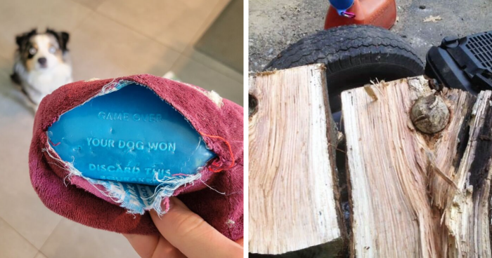 50 Times People Opened Up Things And Just Had To Share What They Found ...