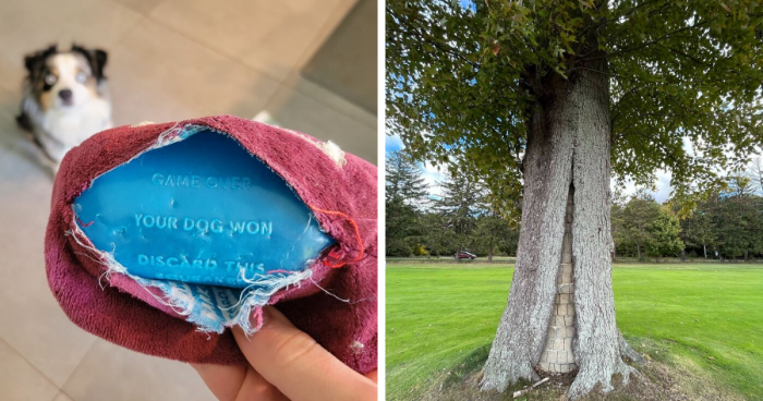 50 Times People Opened Up Things And Just Had To Share What They Found ...