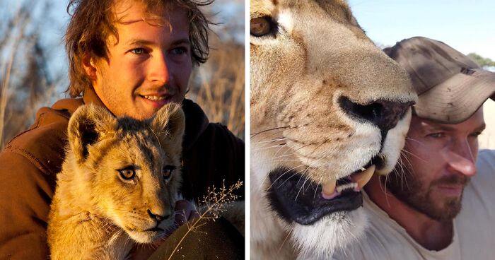 A Beautiful Friendship Between This Caregiver And Lioness That Started ...