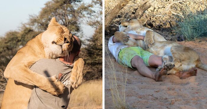 A Beautiful Friendship Between This Caregiver And Lioness That Started ...
