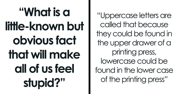 32 Random Facts That Seem Too Weird To Be True, Yet They Are, According ...