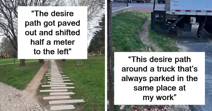 50 Times Urban Planners Failed To Understand People’s Needs, And It ...
