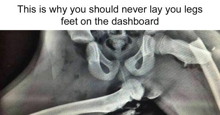 “Should We Just Drop Out?”: 35 Memes That Perfectly Sum Up The ‘Medical ...