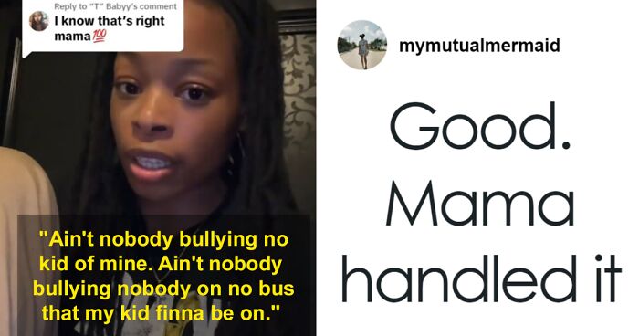 Mother Gets On The School Bus To Defend Her Daughter Against Bully, Act ...