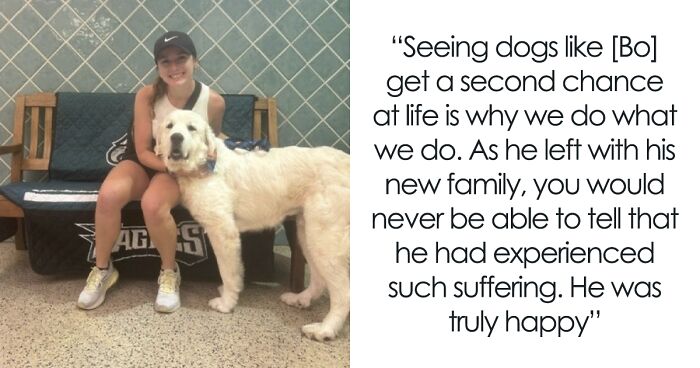 Terribly Neglected Dog Never Loses Hope, Gets Rescued, And Is Given The ...