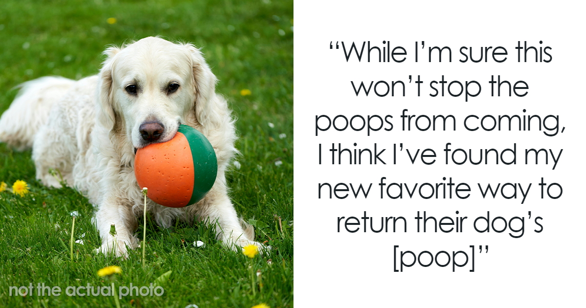 Woman Enjoys Neighbor’s Cursing Tirade As They Find Dog Poop That Once ...