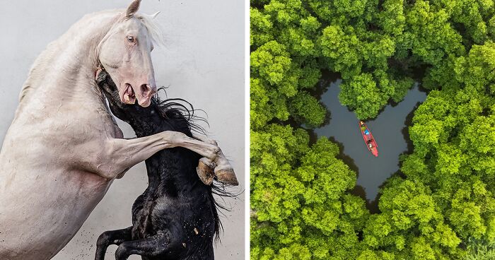 30 Captivating Images Showcasing Nature, Taken By Photographers From ...